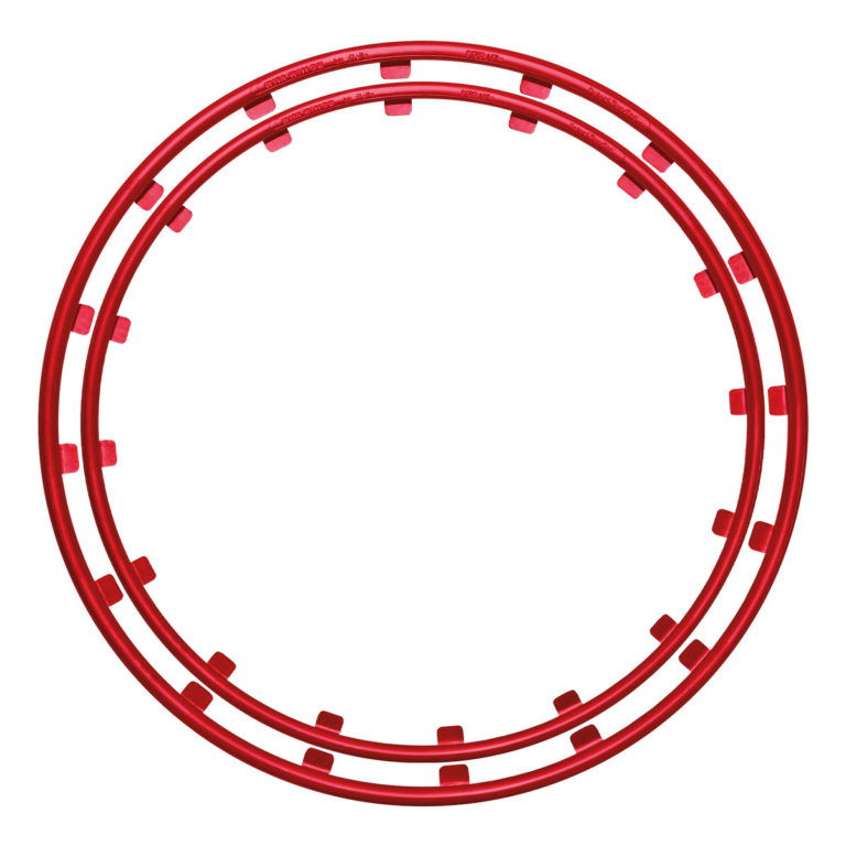 Best Alloy Wheel Rim Protector Set - Rim Ringz